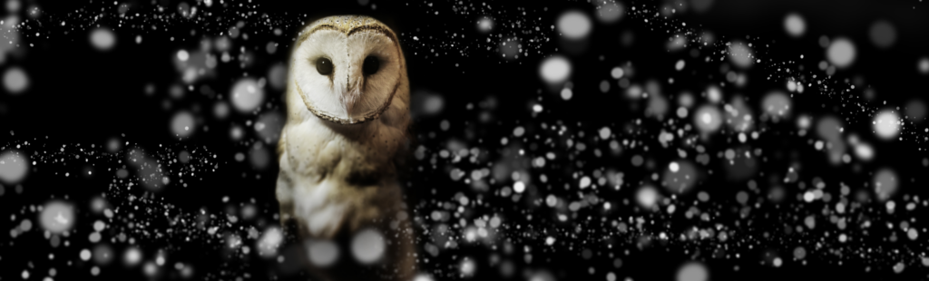 Phronesis - Jubilee Centre for Character and Virtues