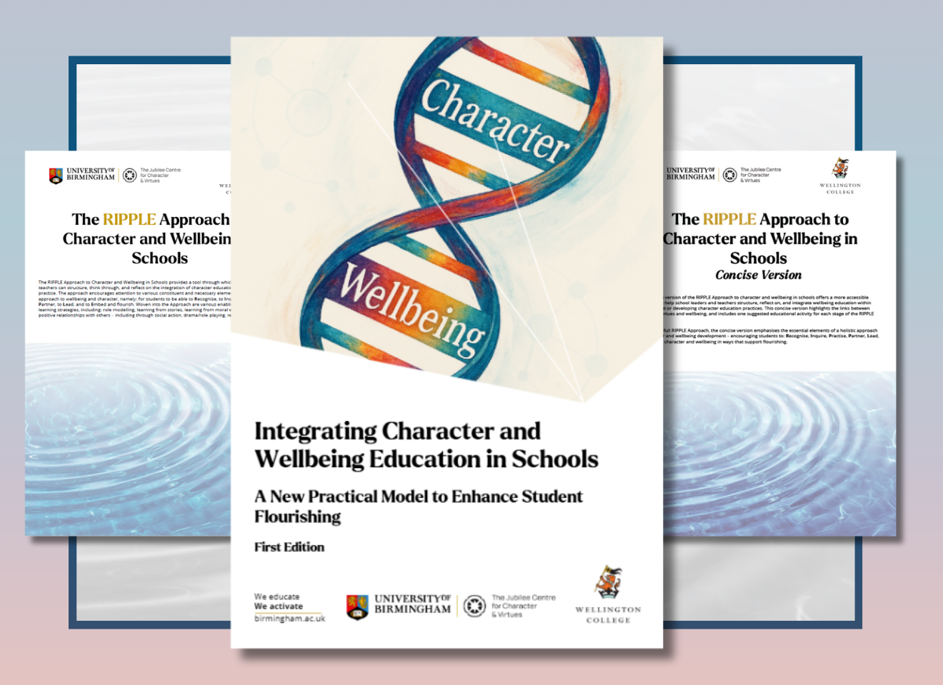 Centre Launches New Integrated Model for Character and Wellbeing ...